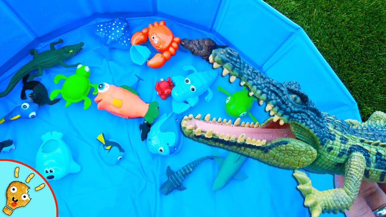 Learn WATER Animals in Kids Pool! Kids Education by Squishee Nugget ...