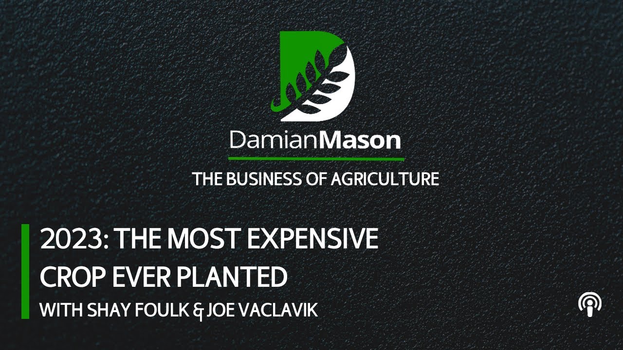 2023: The Most Expensive Crop Ever Planted - YouTube