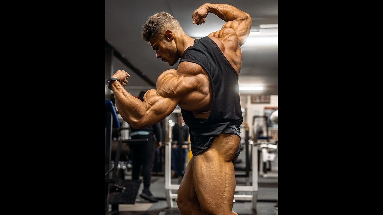 The Dutch Oak - Wesley Vissers - YouTube