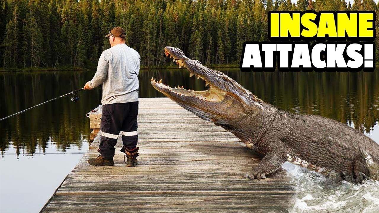 The Most Gruesome Alligator Attacks Ever Recorded - YouTube