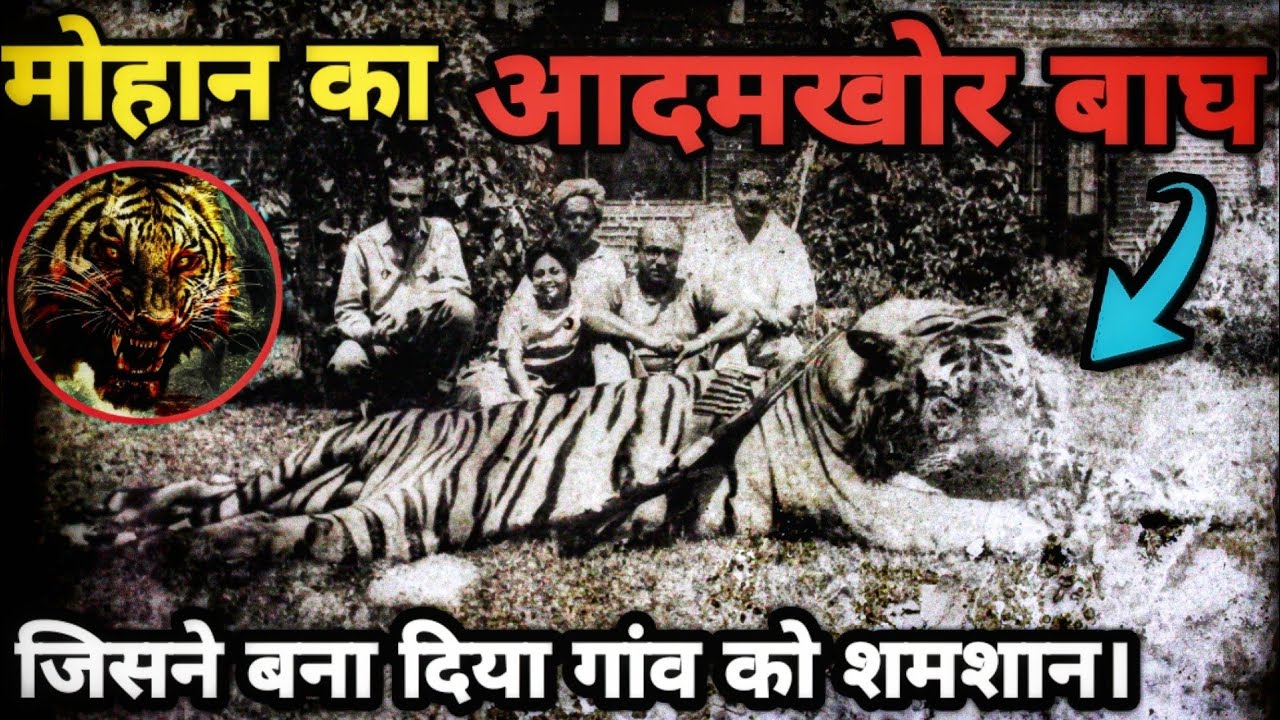 True Story of The Man Eating Tiger of Mohaan and Jim Corbett । Facts ...