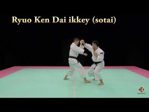 Ryuo Ken Dai ikkei (Paired form), Shorinji Kempo. 少林寺拳法