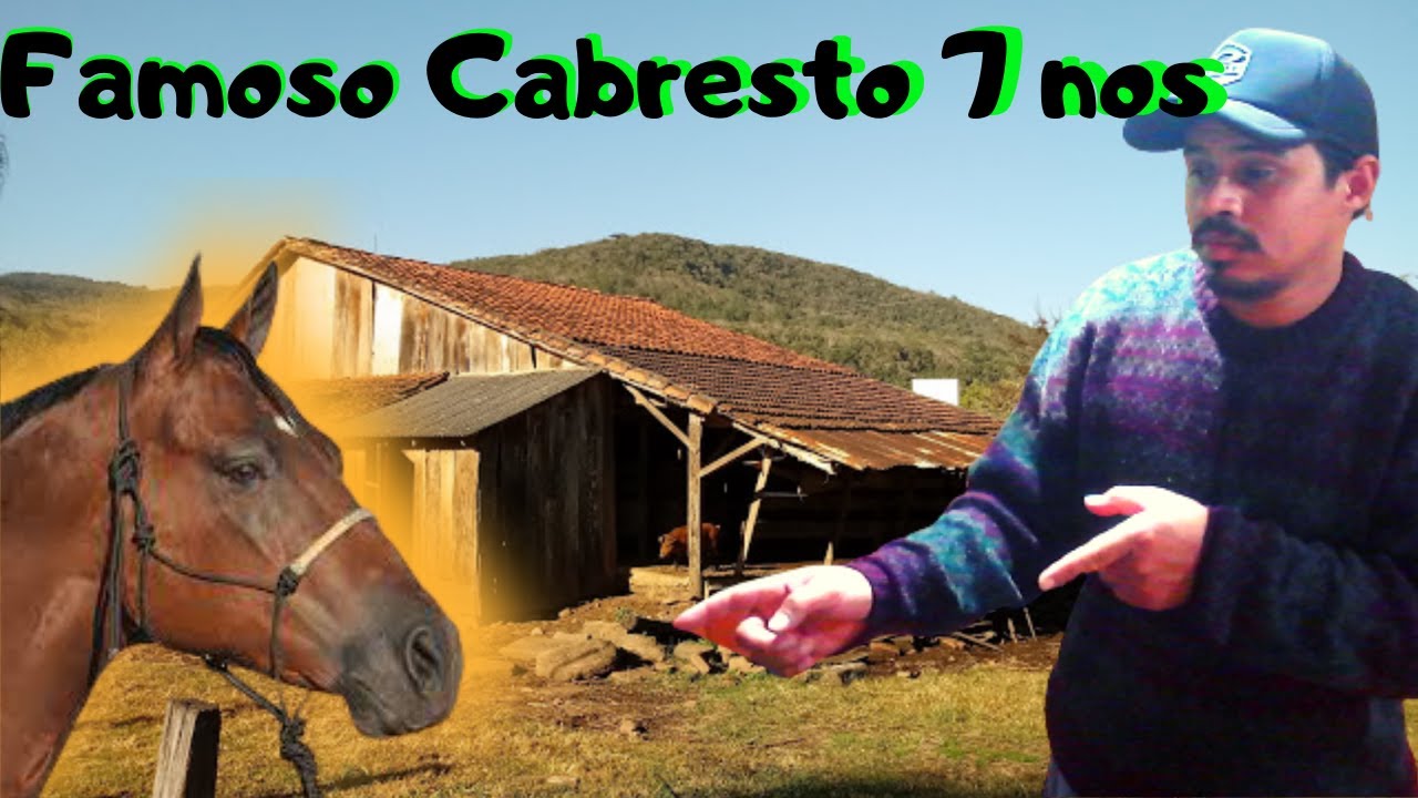 Passo a Passo de como FAZER O CABRESTO DE 7 NÓS BEM FÁCIL - YouTube