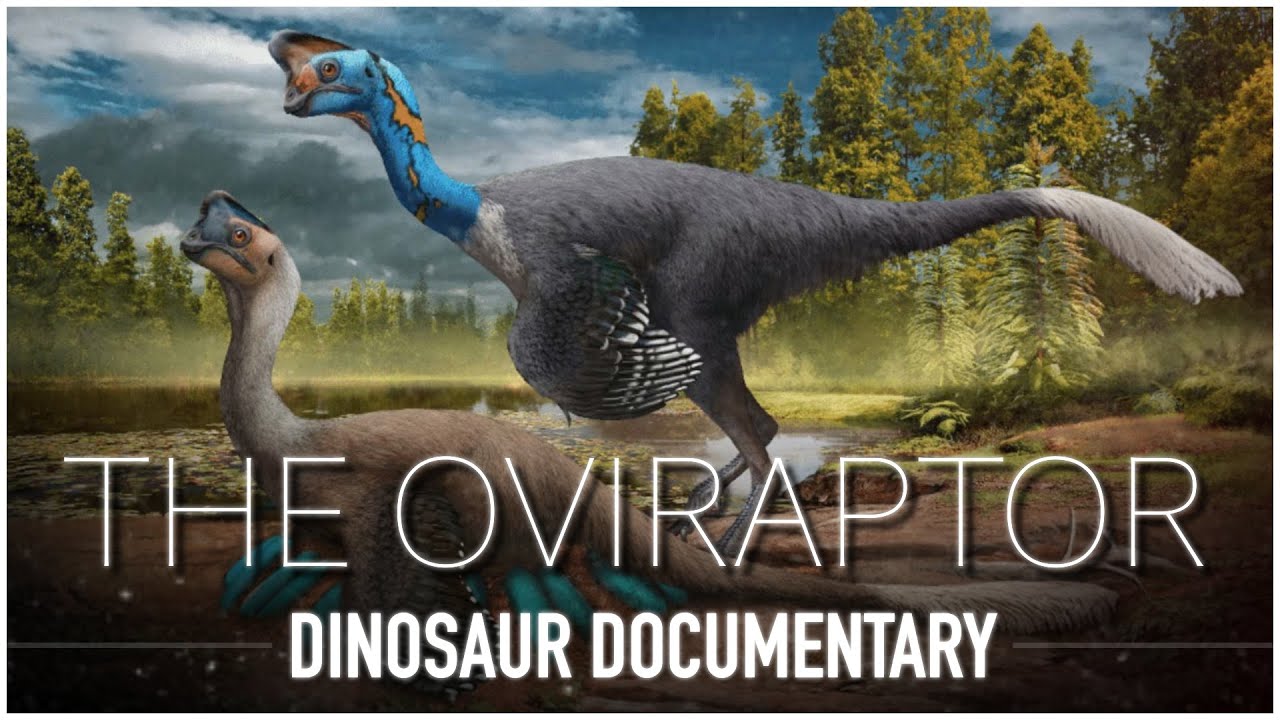 Oviraptor