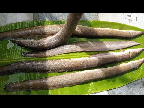 ஆரா மீன் குழம்பு | Aaraa Fish Recipe | Fish Kulumbu | Meen Kulumbu ...