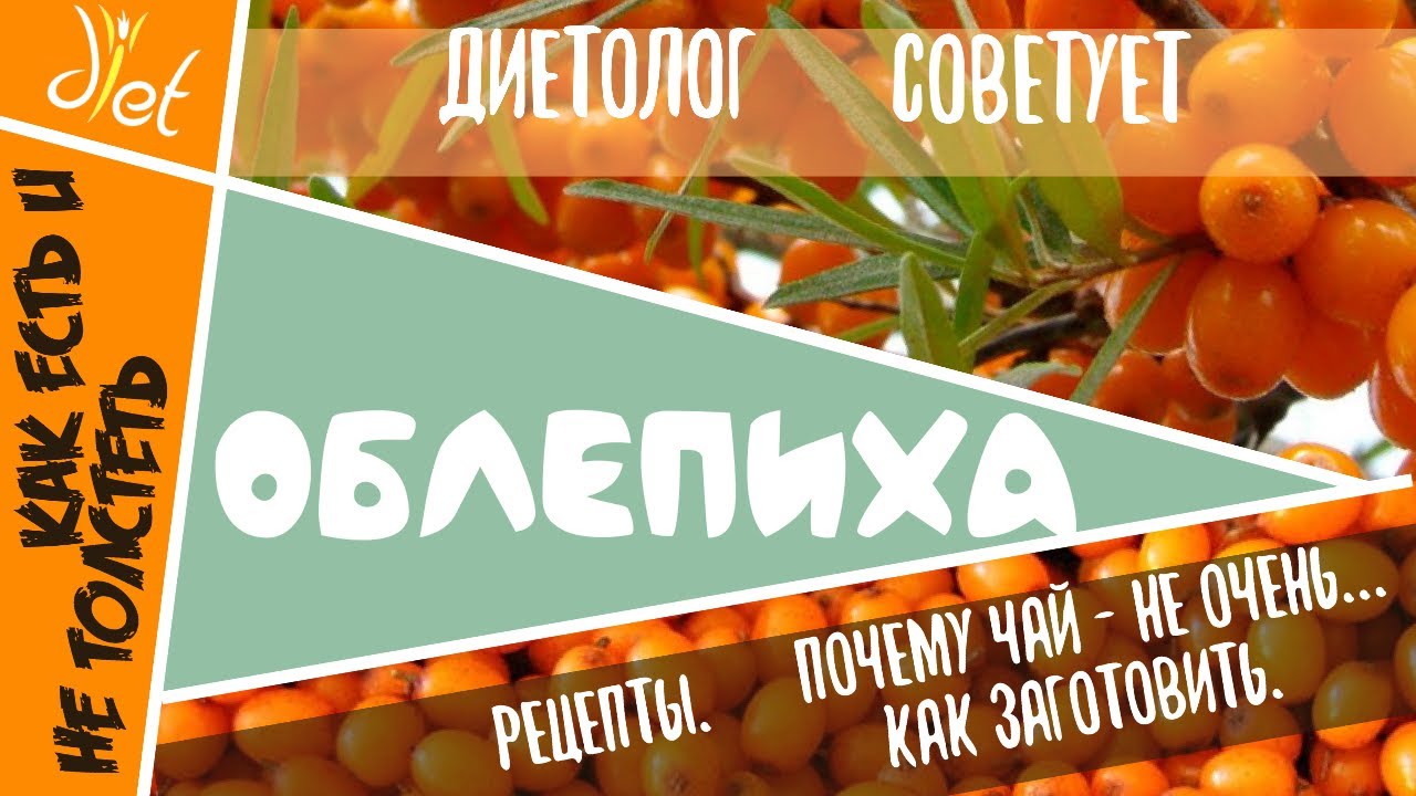 Облепиха: польза, рецепты. Почему облепиховый чай - не вариант и как ...
