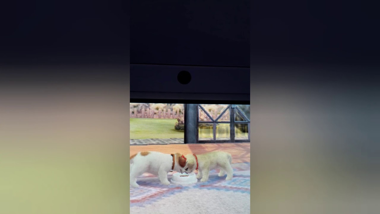 Nintendo dogs+Cats #3 - YouTube