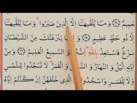 195. Kur'an-ı Kerim yeni öğrenenler / Ssyfa479-481