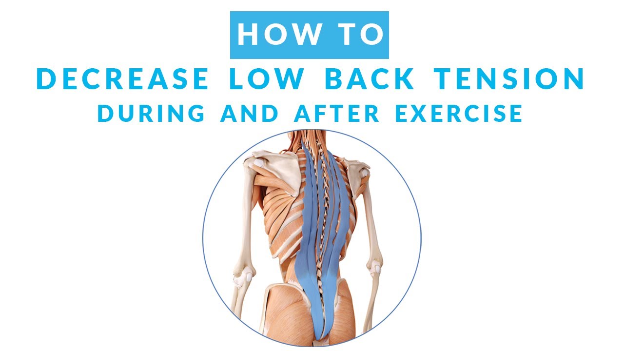 How to Decrease Low Back Tension During and After Exercise - YouTube