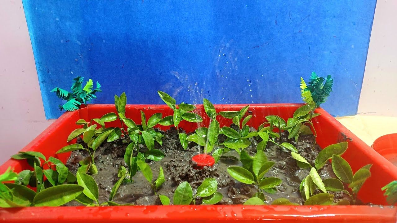 Sprinkler irrigation system working model | sprinkler project| smart ...