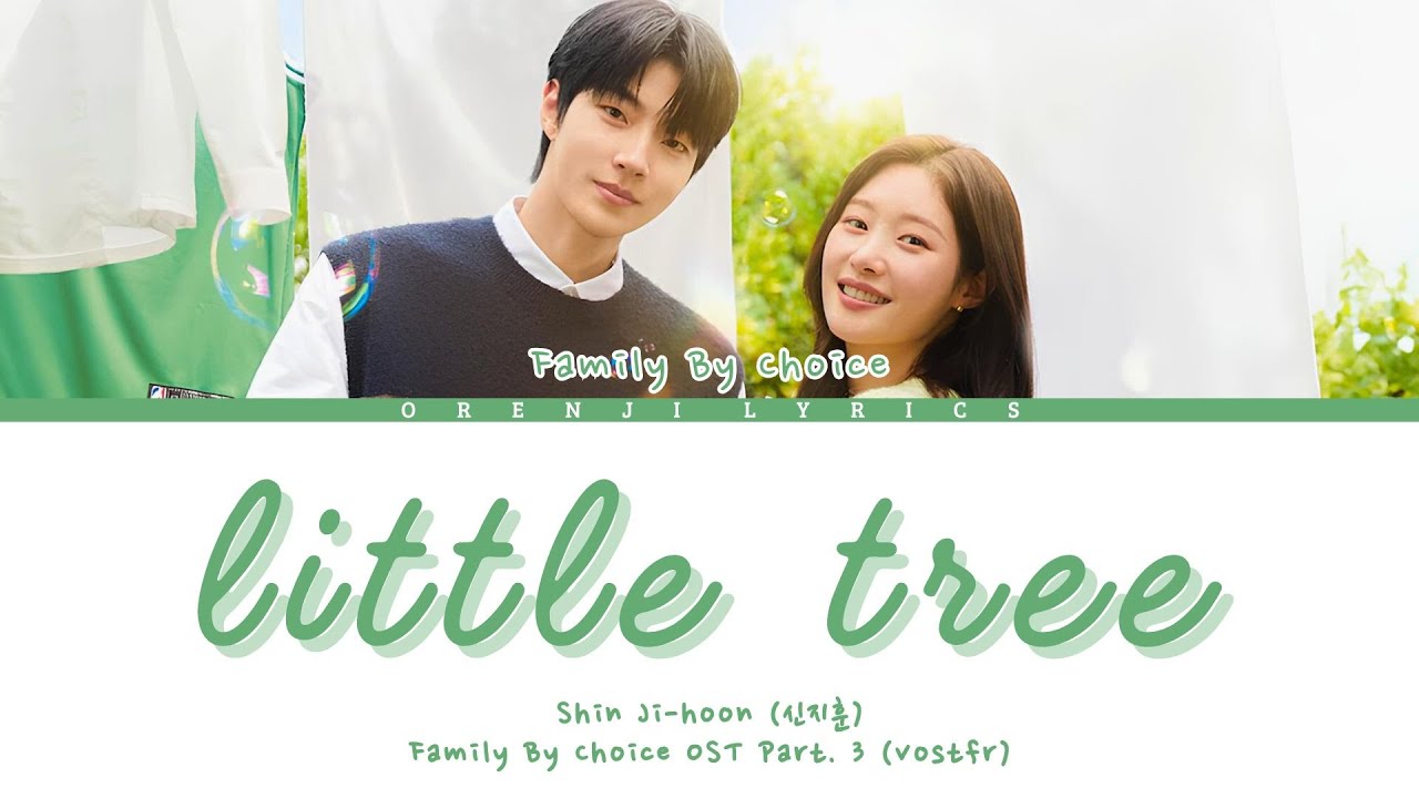 [VOSTFR] FAMILY BY CHOICE OST PART. 3『LITTLE TREE』LYRICS HAN/ROM/FR ...