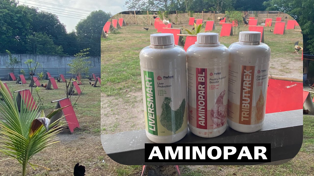 Aminopar lng sapat na - YouTube