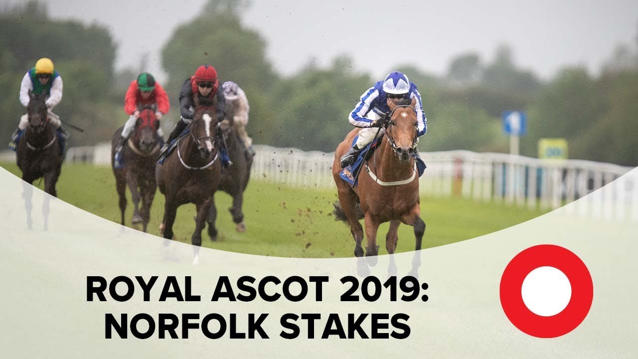 Royal Ascot 2019: Norfolk Stakes preview with Dave Orton - YouTube