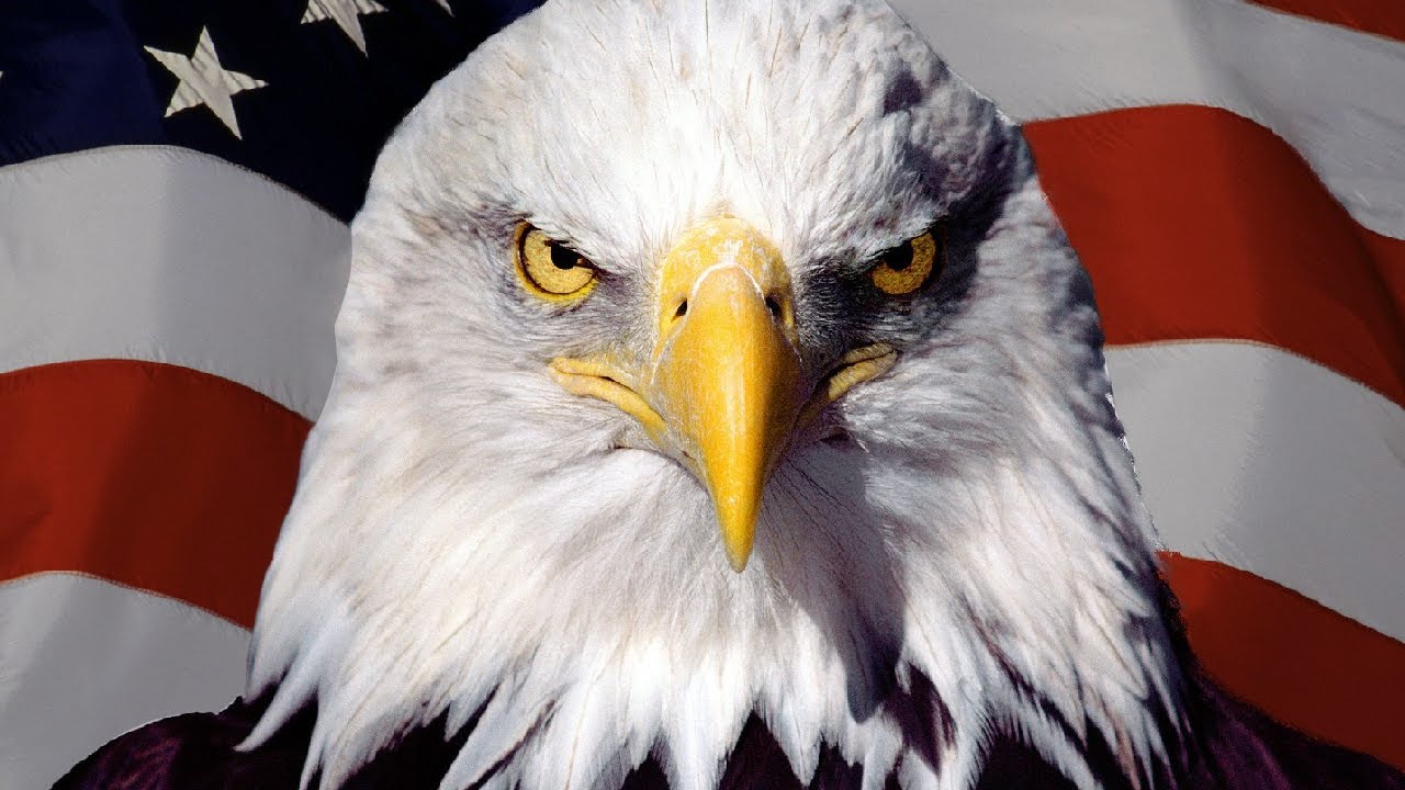 INSURGENCY : Getting the best Gameplay ft. Mericuh! - Funny Gaming ...