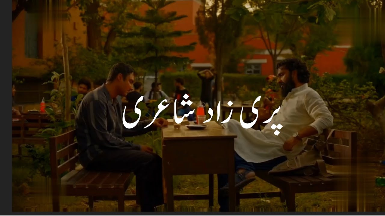 🥀 Parizaad shayari (قصے میری الفت کے) best lines #parizaad #hamzawrites ...
