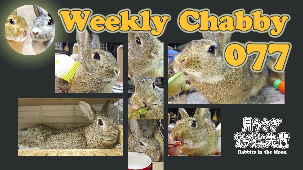 Weekly Chabby 077 - YouTube