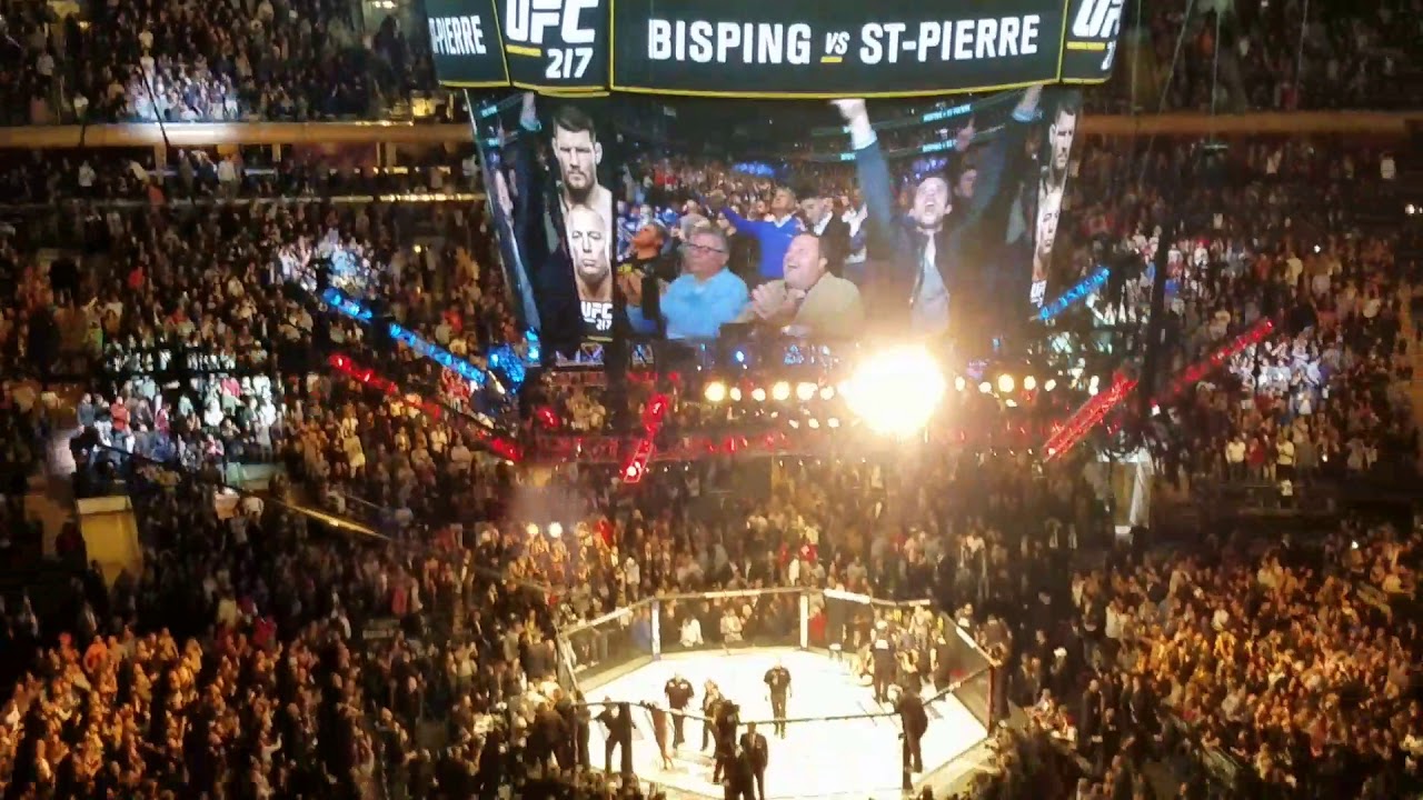 GSP knocks out bisping live - YouTube