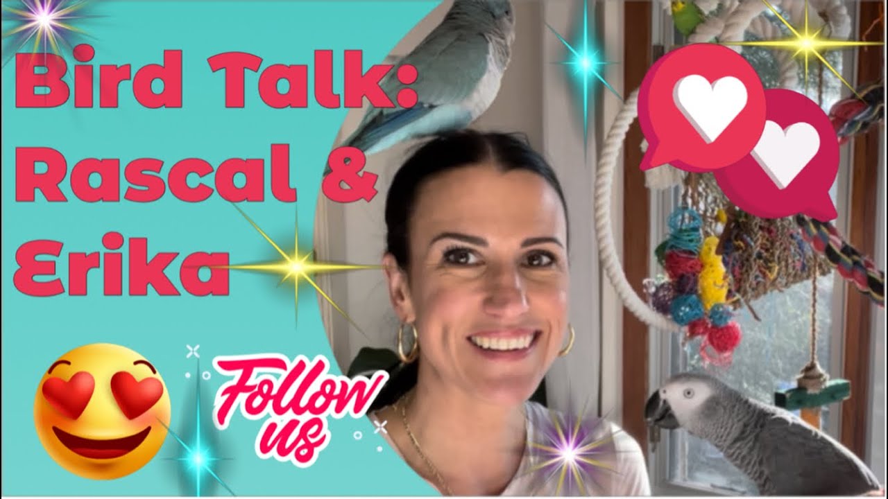 Bird Talk: Rascal & Erika - Window Chats Part 2 - YouTube