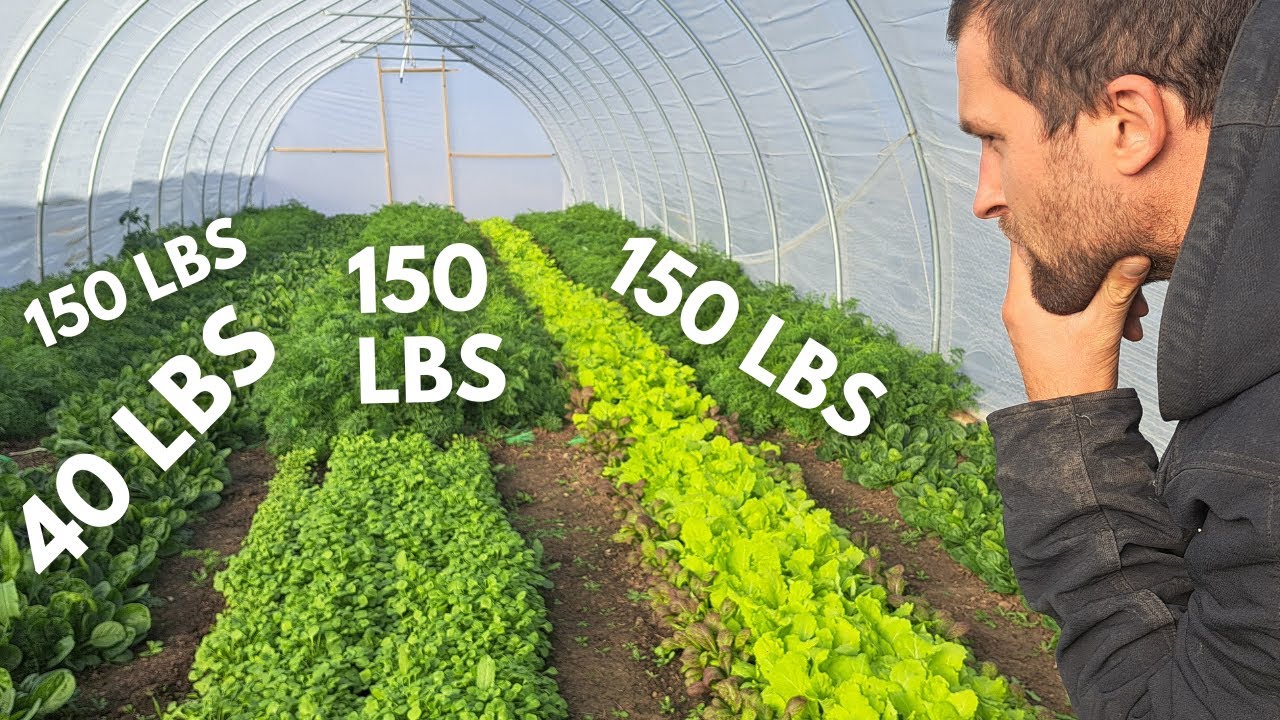 YEAR ROUND HARVEST Made Easy with Proven Garden Journal Methods! - YouTube