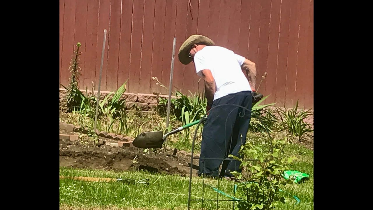 Garden Rap - YouTube