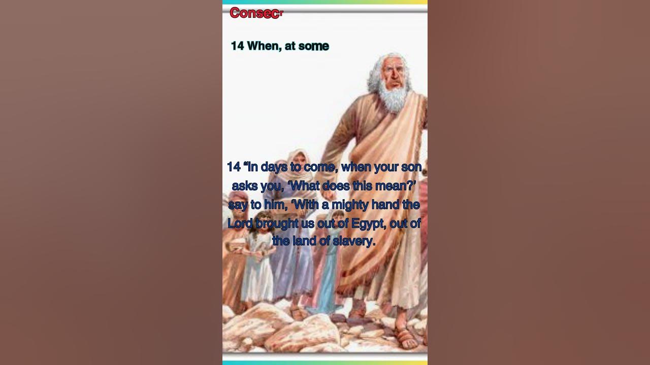 Exodus 13 13 14 CJB NIV Versions Consecration Of The Firstborn exodus-13-13-14-cjb-niv-versions-consecration-of-the-firstborn