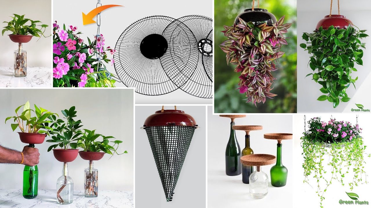 Amazing & New Ideas for Indoor Potted House Plants with Easy ...