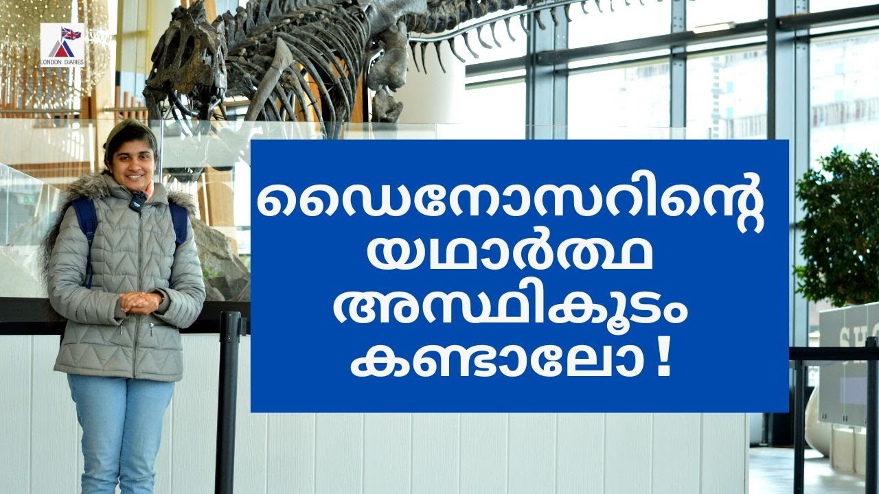 The real skeleton of a giant dinosaur ' The Big Sara' displayed at ...