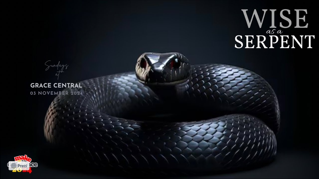 WISE AS A SERPENT (HINDI) | 03 NOVEMBER 2024 | GRACE CENTRAL - YouTube
