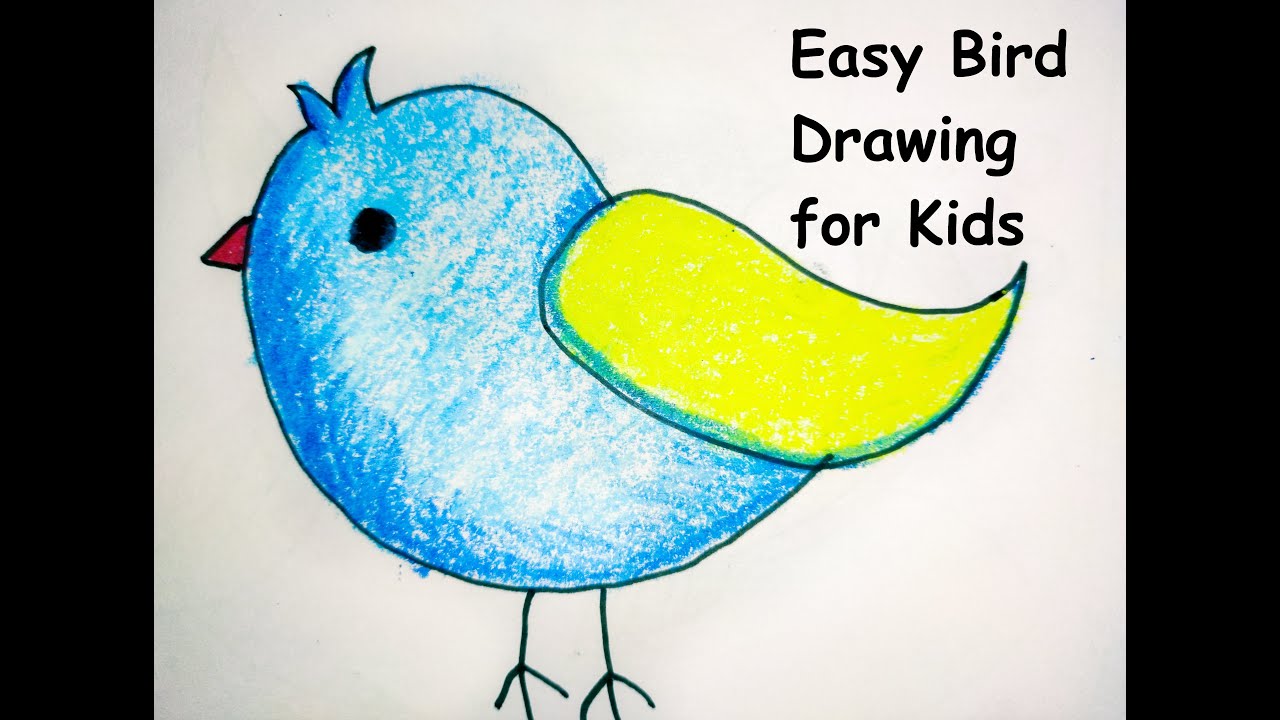 Easy Bird Drawing for Beginners - YouTube