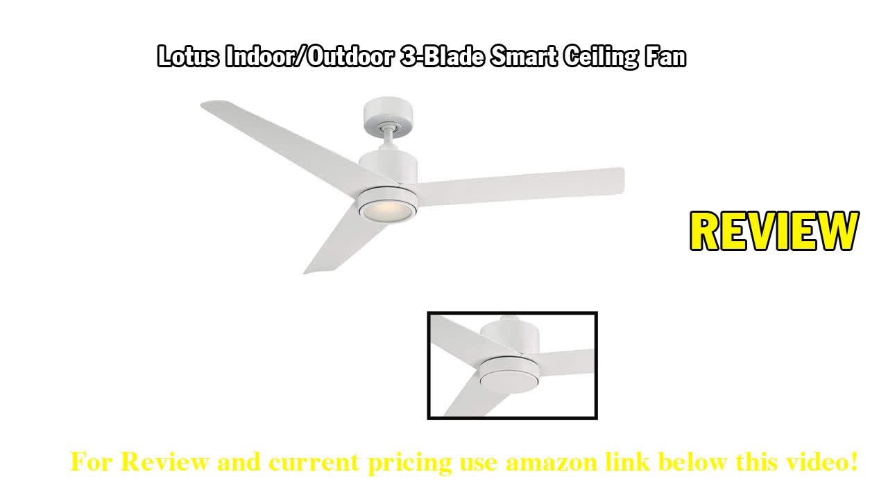 Review Lotus Indoor/Outdoor 3-Blade Smart Ceiling Fan 54in Matte White ...