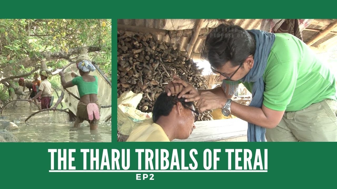 THE THARU TRIBALS OF TERAI EP2 - YouTube