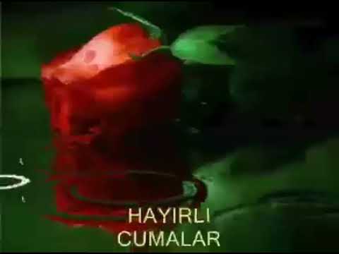 ORMANDA KARANLIKTA KAYBOLMAK