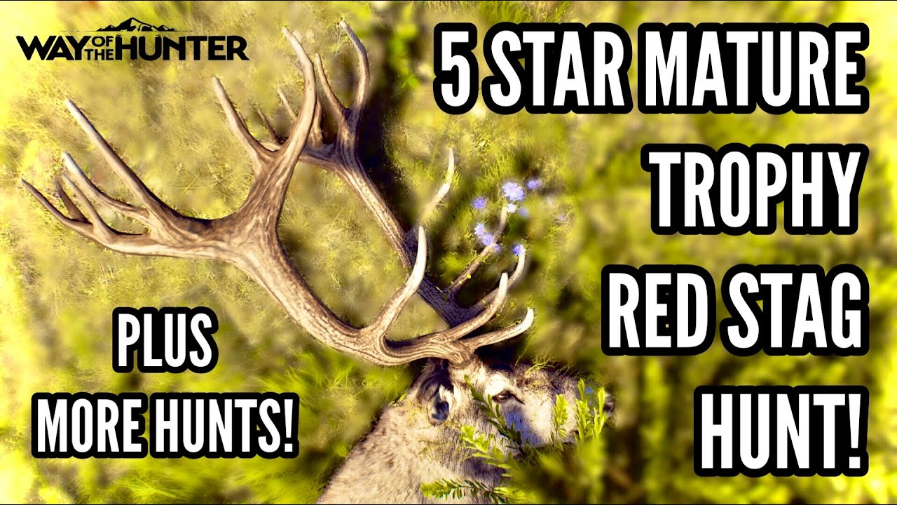 HUNTING RED DEER IN A LIGHTNING STORM, + A COOL CLOSE ENCOUNTER ...