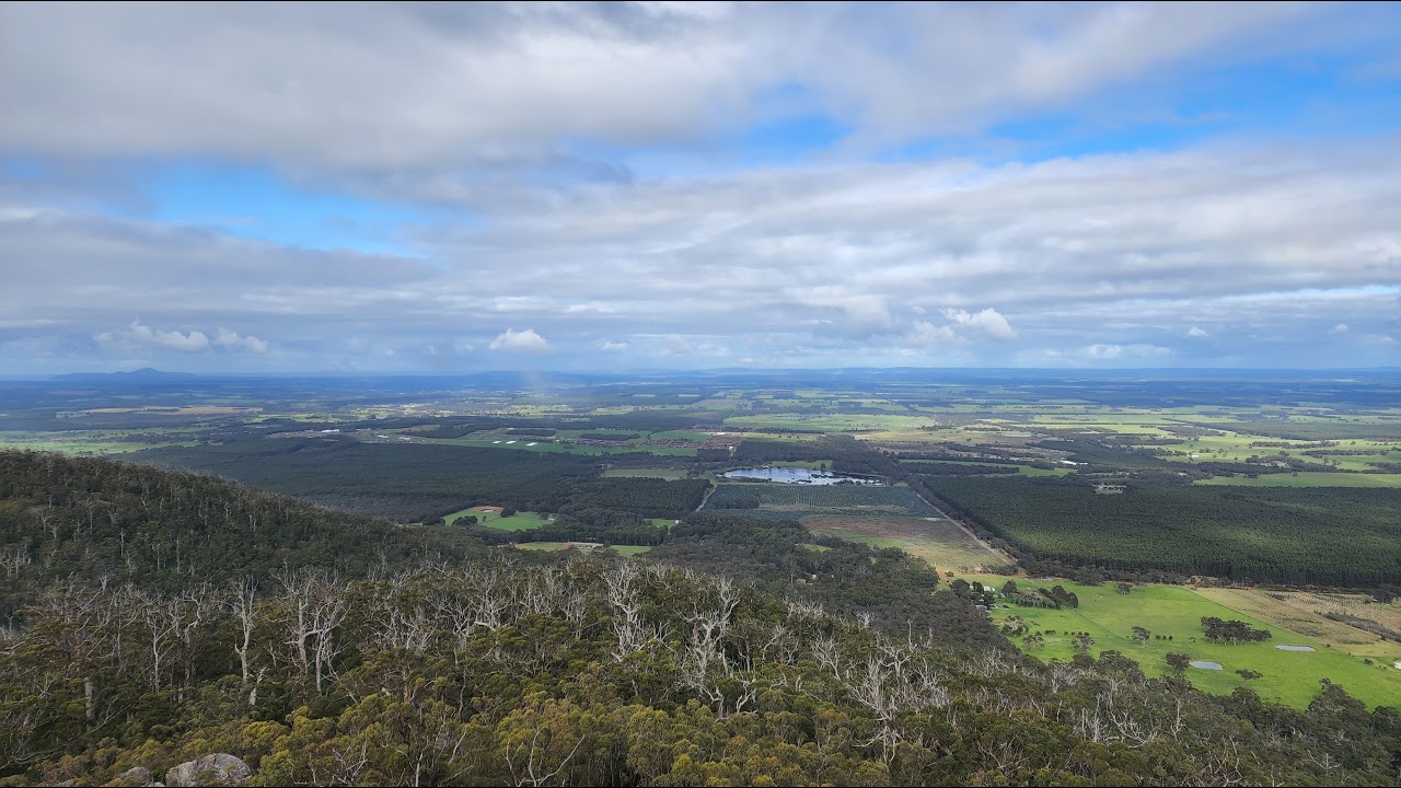 Matt Ferrari Live Stream - YouTube