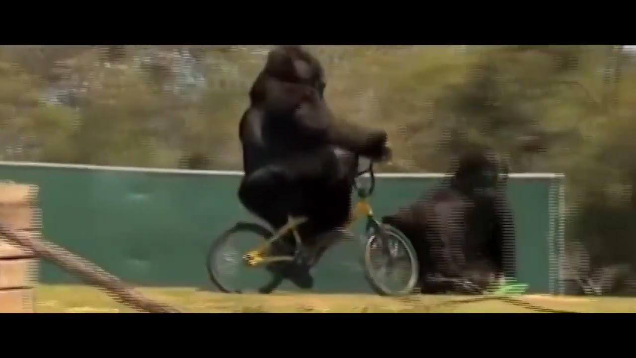 Ooga booga gorilla riding bike and dies - YouTube