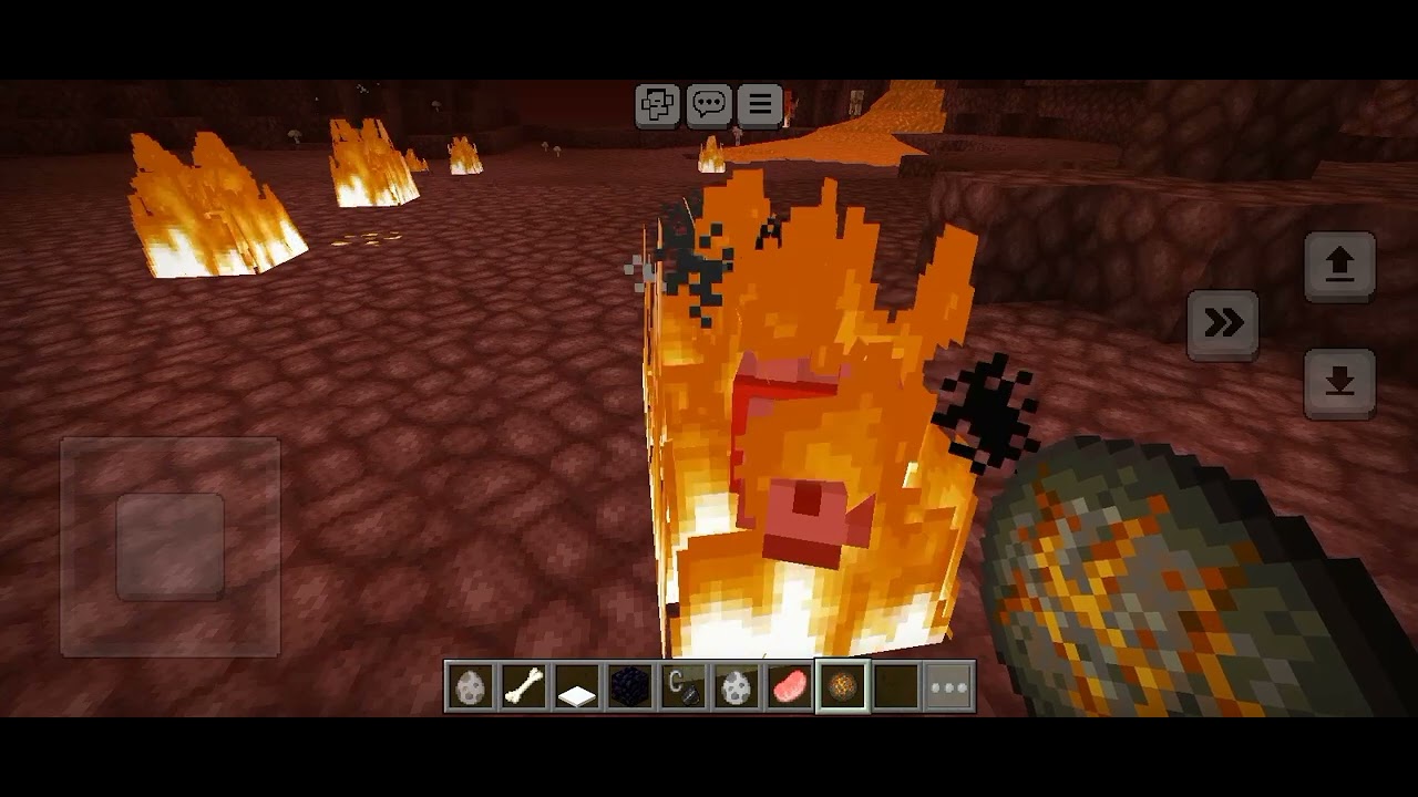 Minecraft Tamed Wolf Vs All Nether - YouTube