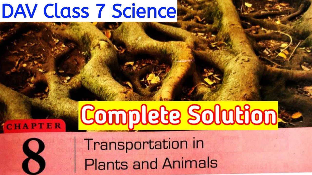 Transportation in Plants and Animals Question Answer | Dav Class 7 ...