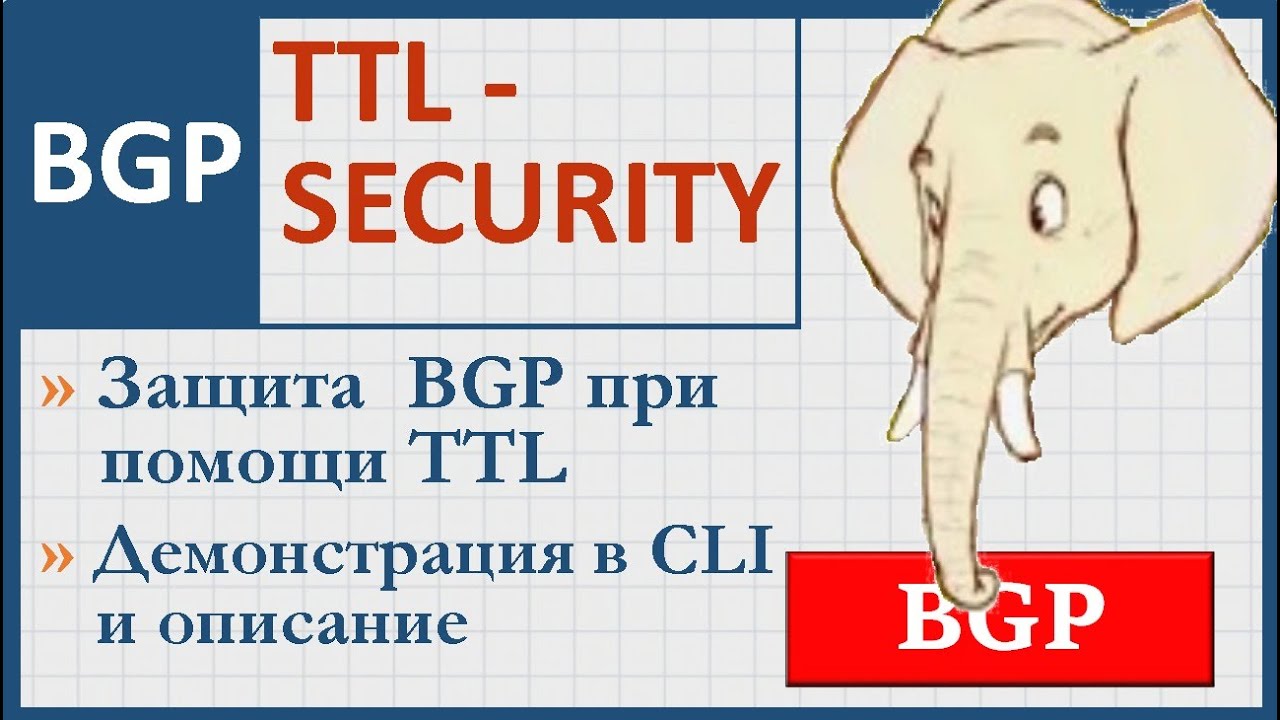 6.5 BGP. Border Gateway protocol. Часть 5. TTL-security - YouTube