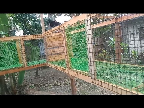 DIY chicken cage design. - YouTube
