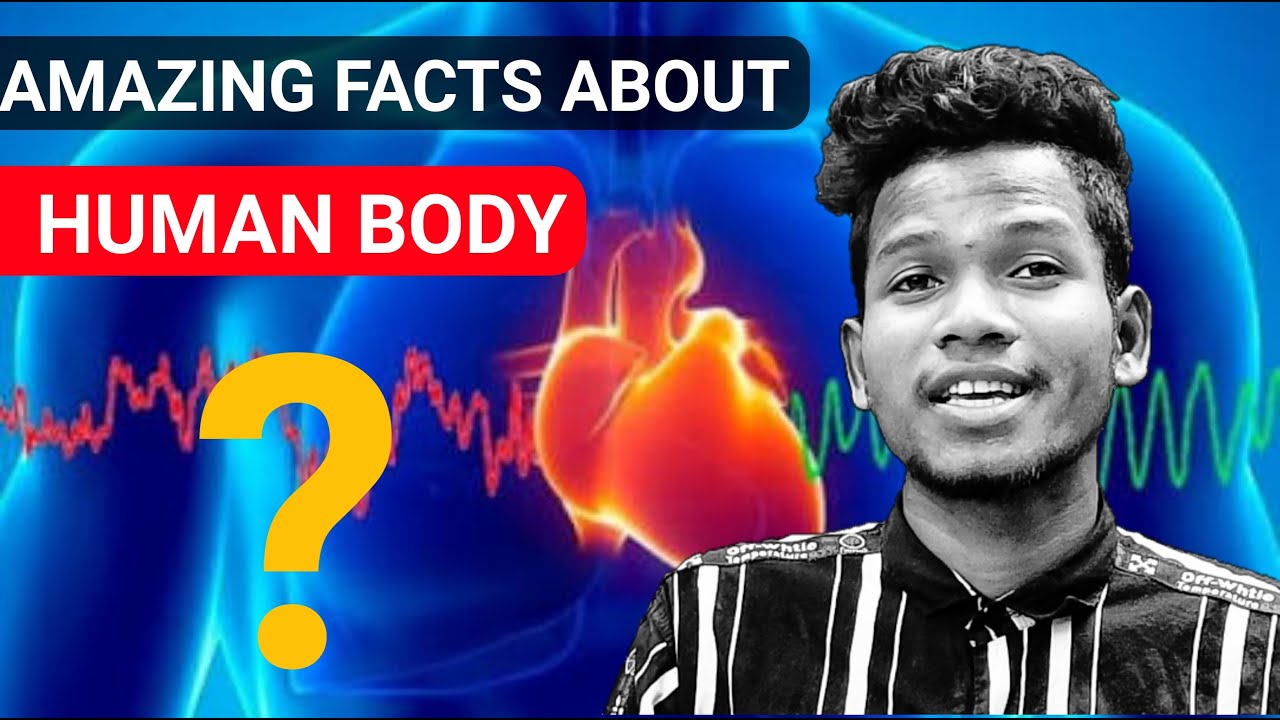 7 Amazing Facts About Human Body In Hindi Episode No 1 Amazing 7 Amazing Facts About Human Body In Hindi Episode No 1 Amazing