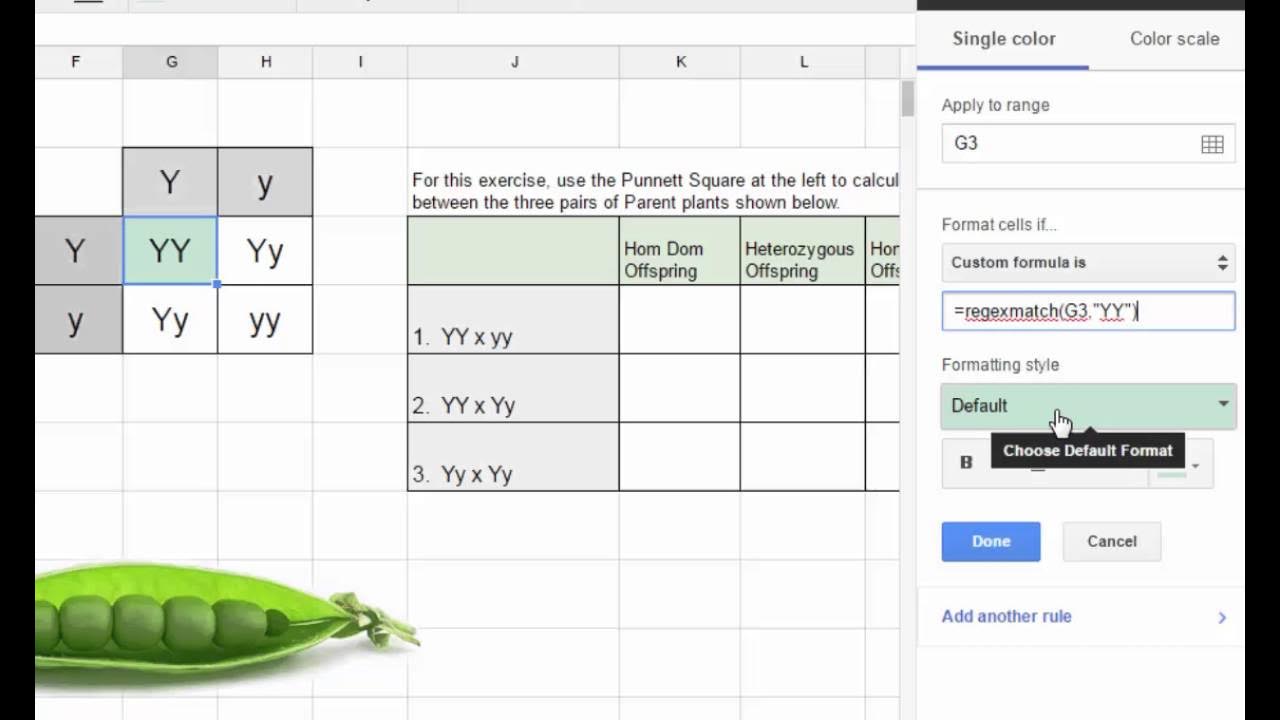 Google Sheets & Punnett Squares - YouTube