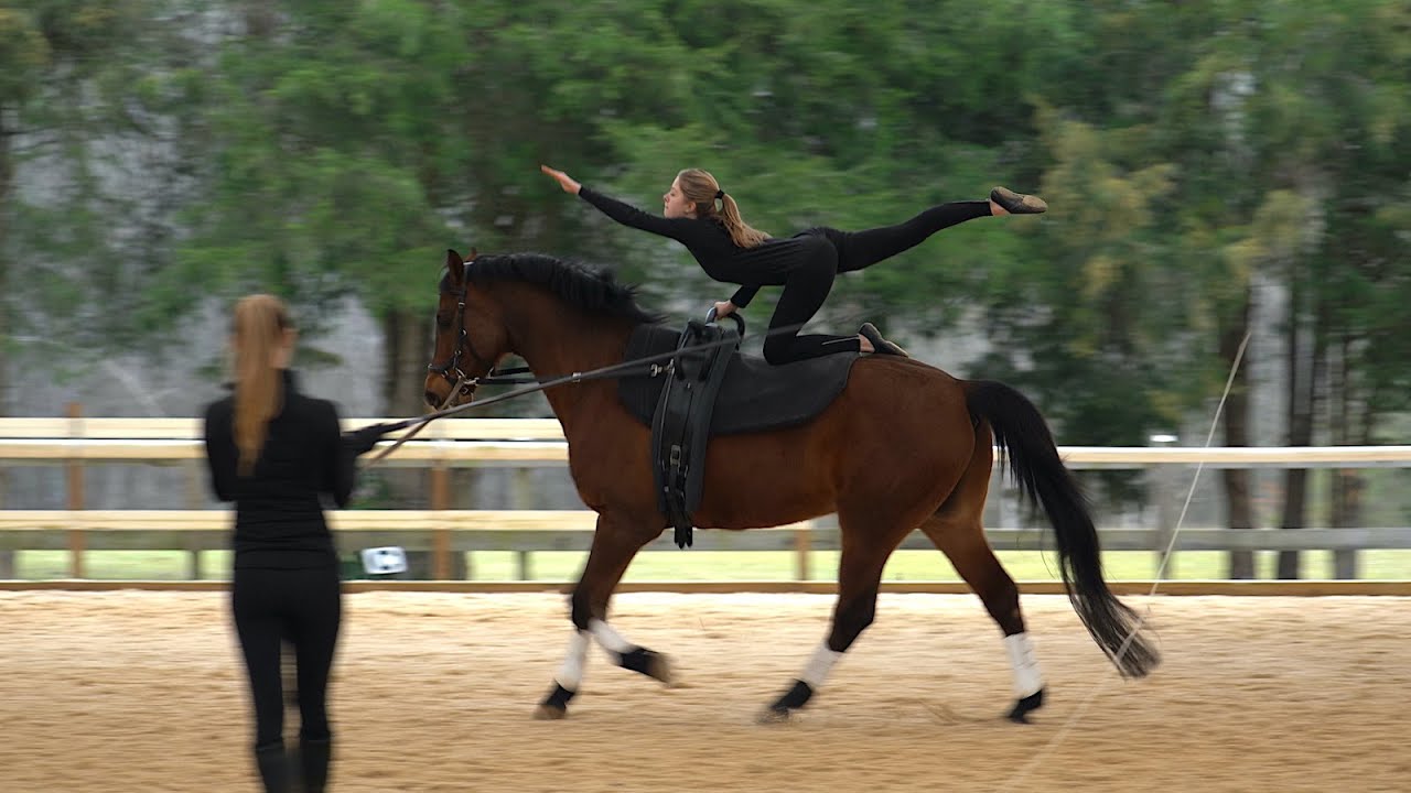 Equestrian Vaulting - 1 Star Compulsories at Canter - YouTube
