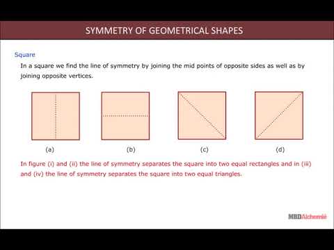 Sym Symmetry : Geometry of 2D Geometric Shapes (Class 7) - YouTube