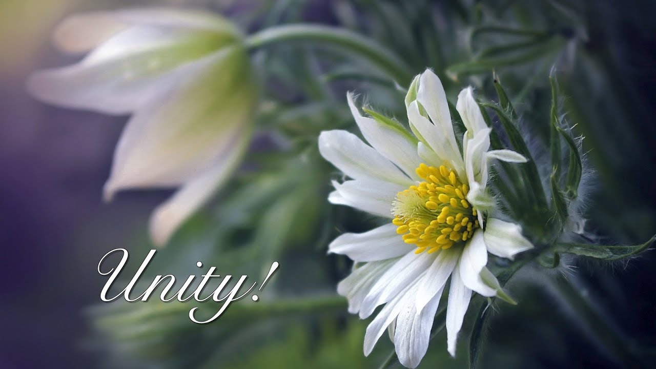 Unity of SB Sunday Service 04/26/20 - YouTube