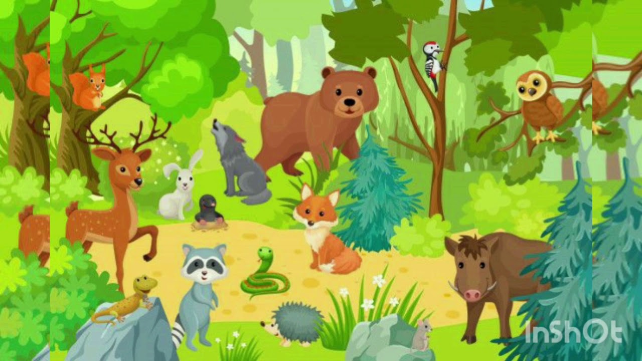 Duni y su historia - YouTube