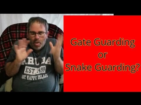 Gate Guarding or Snake Guarding?-RVSWAT - YouTube