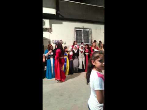 Sönmez Müzik memiraların Düğünü 《BOTANİ》