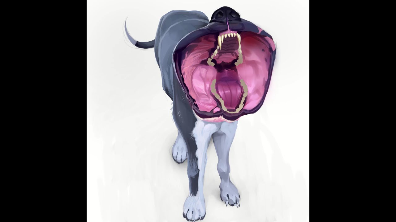 Digital Painting – Dog with Open Mouth - YouTube