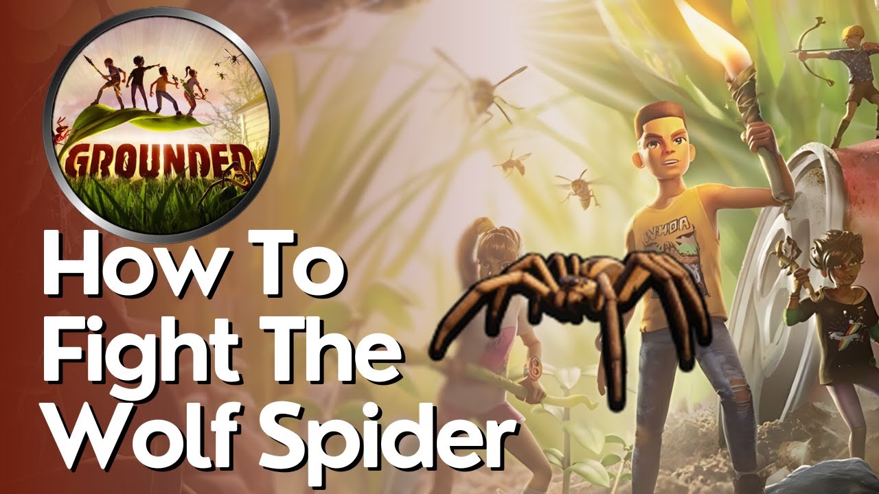 How to Fight The Wolf Spider in Grounded - YouTube