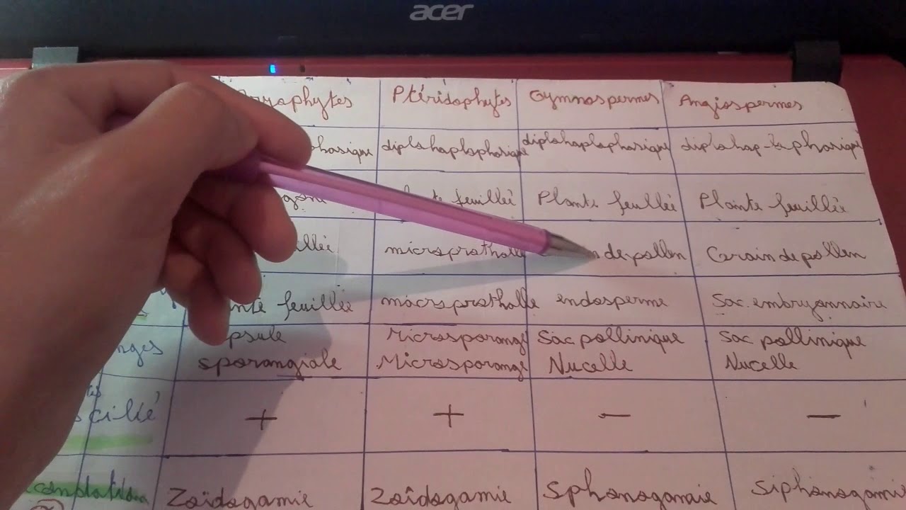 Classification et caractere des cormophytes - YouTube
